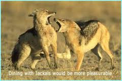 USA: The Day of the Jackals | The Society of Honor by Joe America